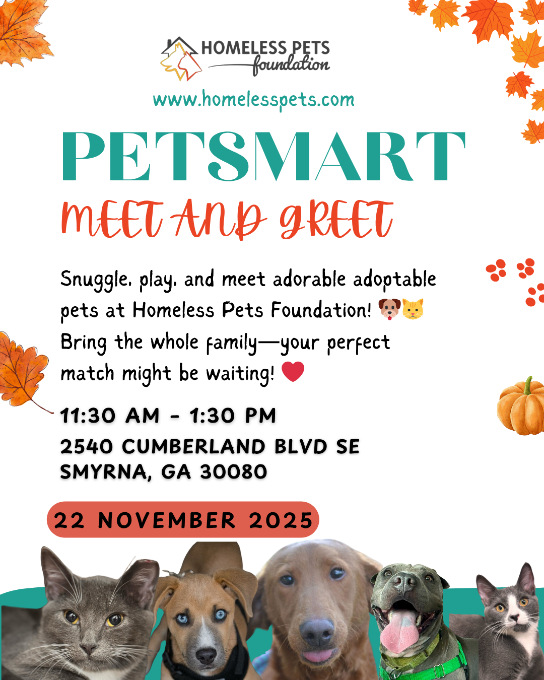 Petsmart Meet and Greet! 🐶🐱 Homeless Pets Foundation | Saving, Adopting ...